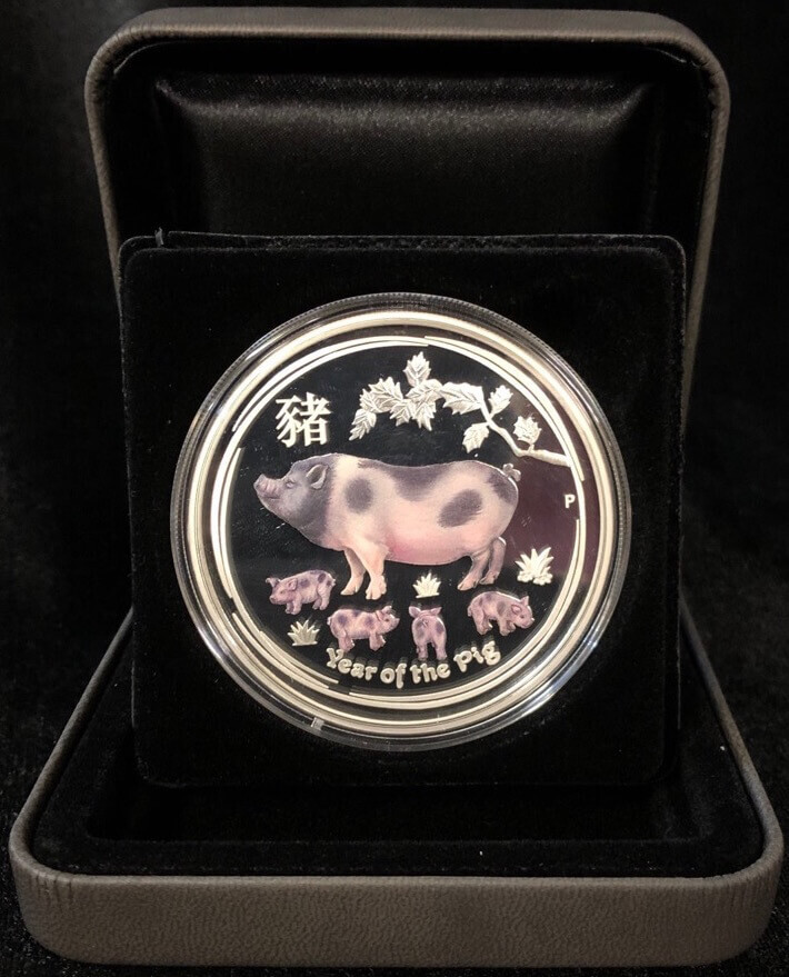 2019 Silver Lunar Two Ounce Coloured Proof Coin | Sterling & Currency