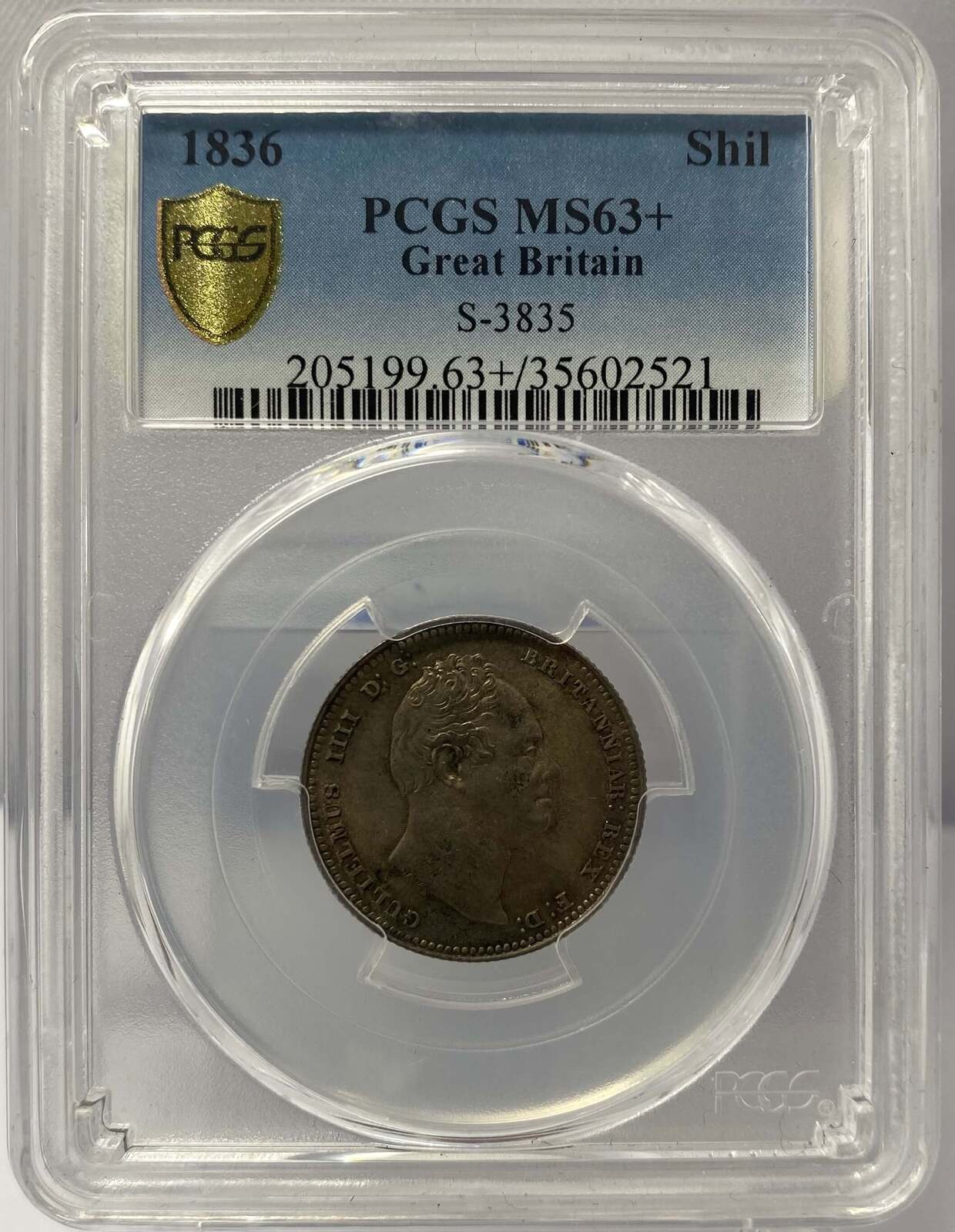 1836 Silver Shilling William III PCGS MS63+ | Sterling & Currency